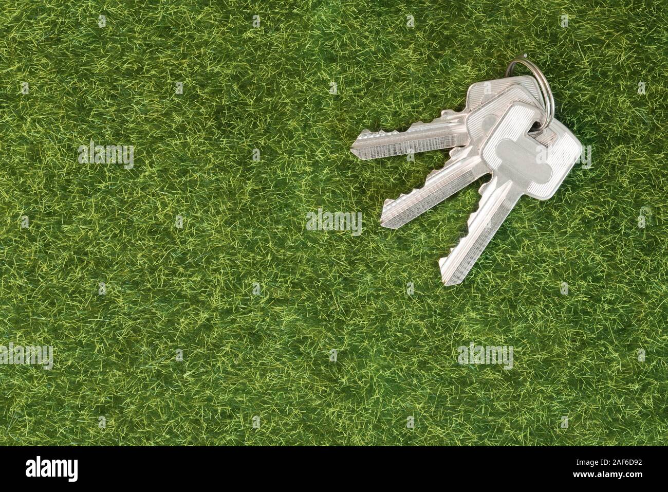 Bunch of three keys on the green grass background Stock Photo - Alamy
