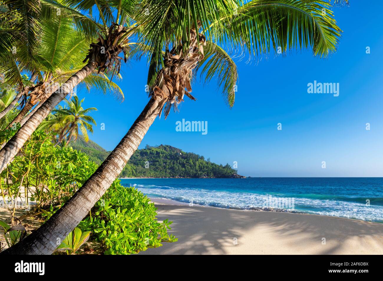 Sunset at exotic tropical beach Stock Photo - Alamy