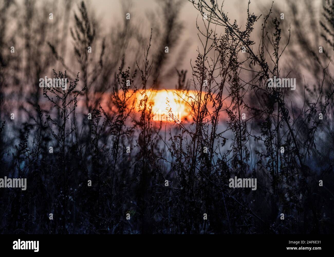 Berlin, Germany. 13th Dec, 2019. The rising sun can be seen through ...