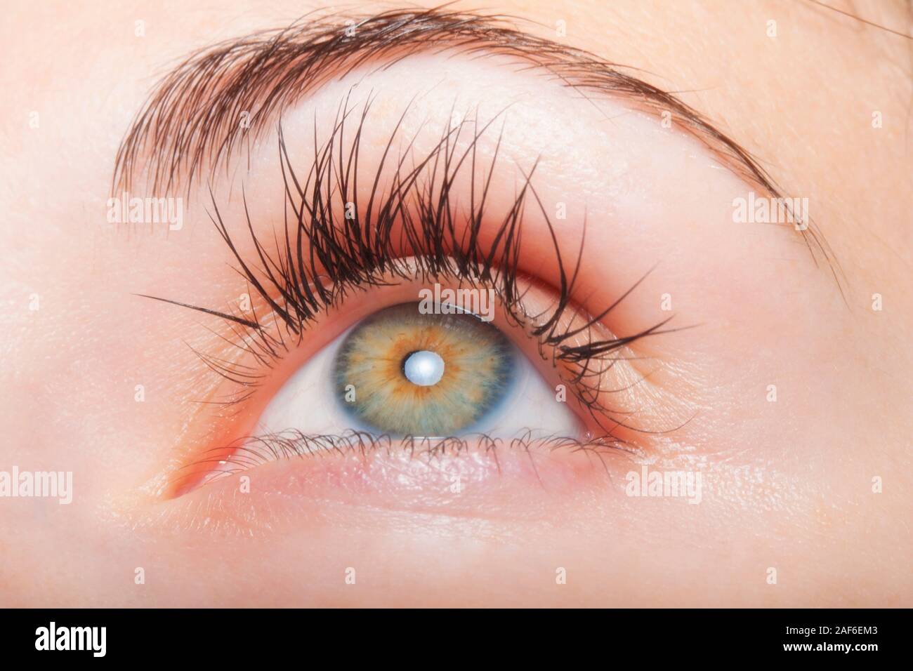 Long natural eyelashes hi-res stock photography and images - Alamy