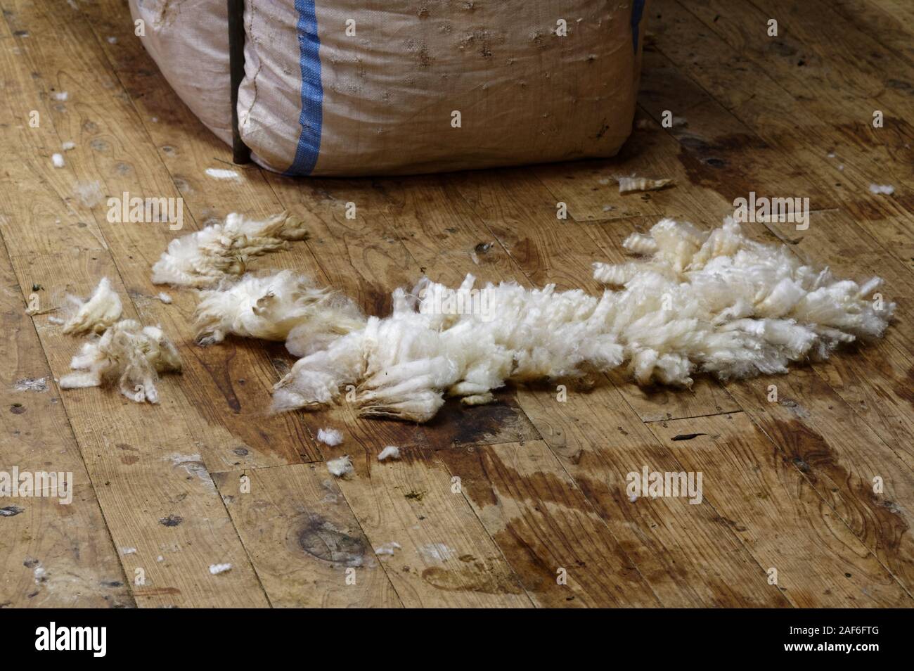 Sheeps fleece hi-res stock photography and images - Alamy