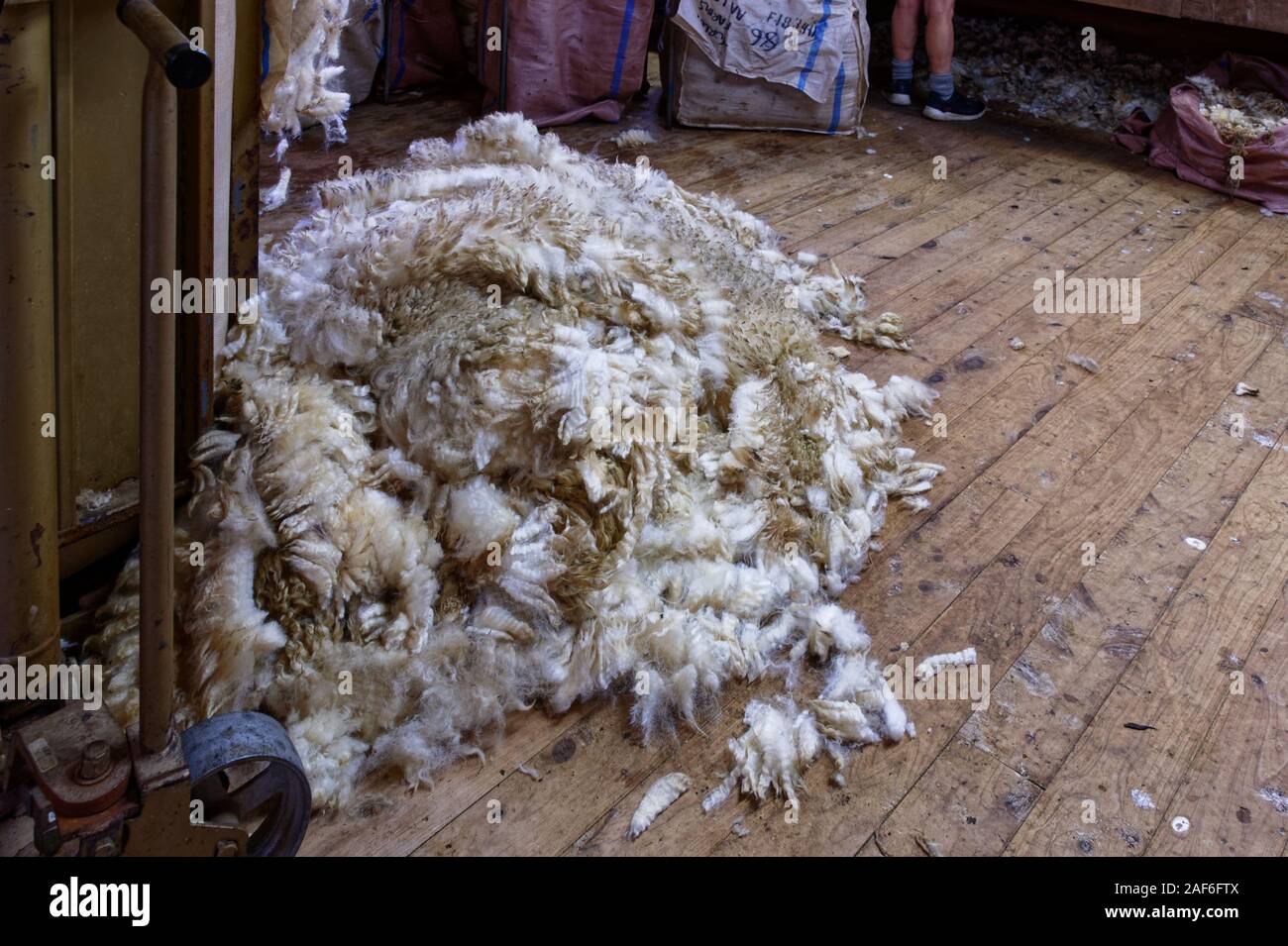 Sheeps fleece hi-res stock photography and images - Alamy