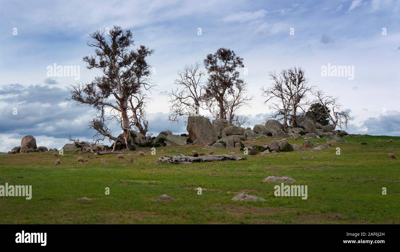 Cooma australia hi-res stock photography and images - Alamy