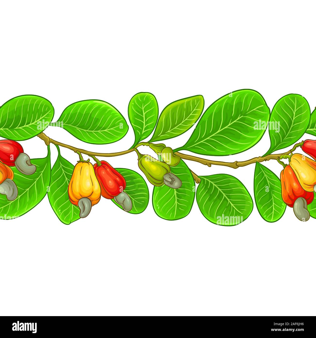 cashew vector pattern Stock Vector Image & Art - Alamy