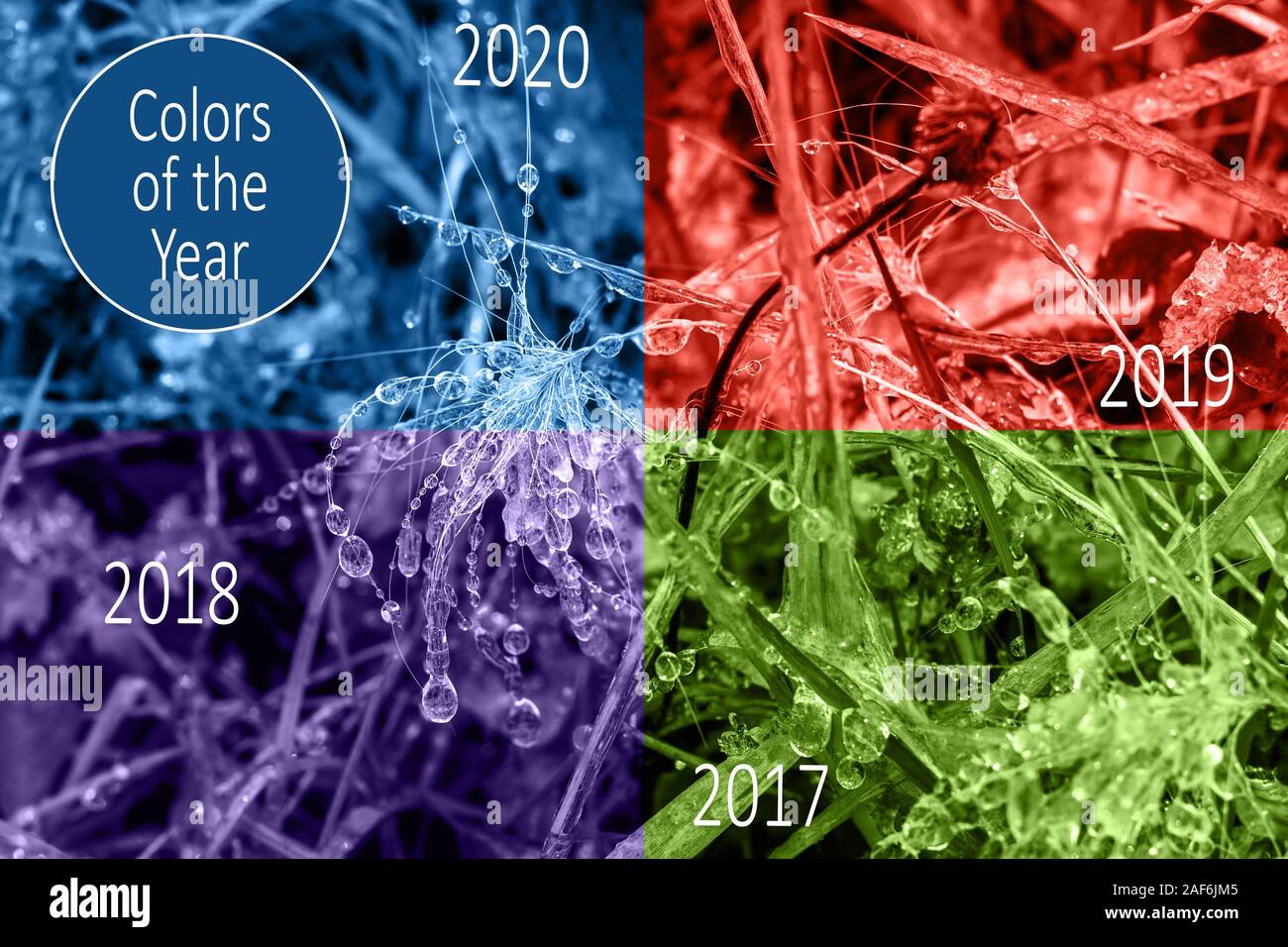 Colors of the Year, trend colors of different years. Shiny frozen dew ...