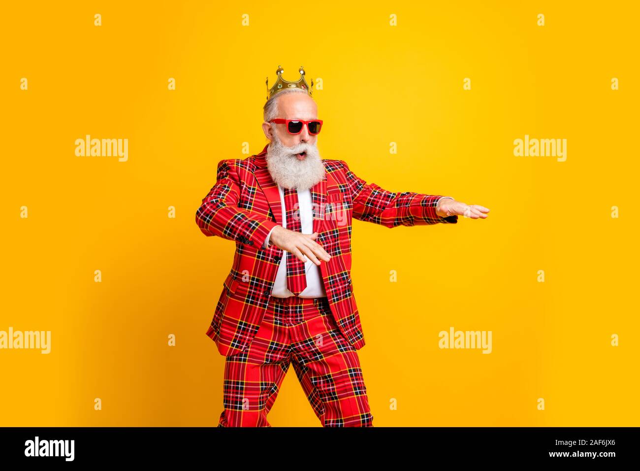 Portrait of his he nice handsome attractive rich funky gray-haired man ...
