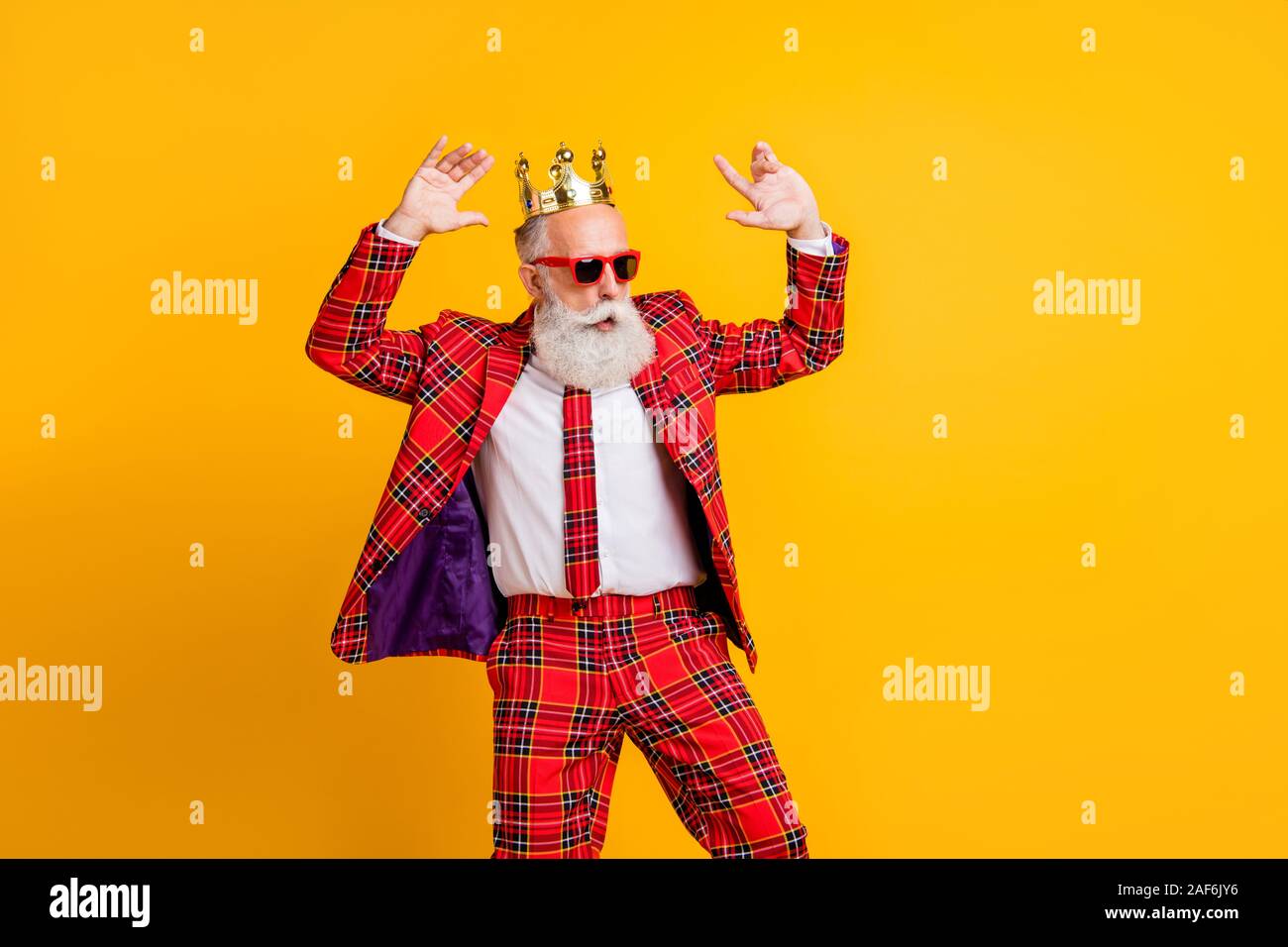Portrait of his he nice handsome attractive rich wealthy funky gray ...