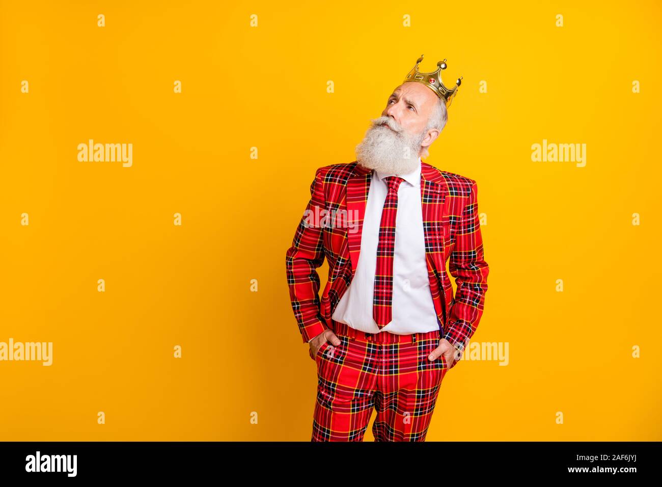 Portrait of his he nice handsome attractive arrogant rich wealthy proud ...