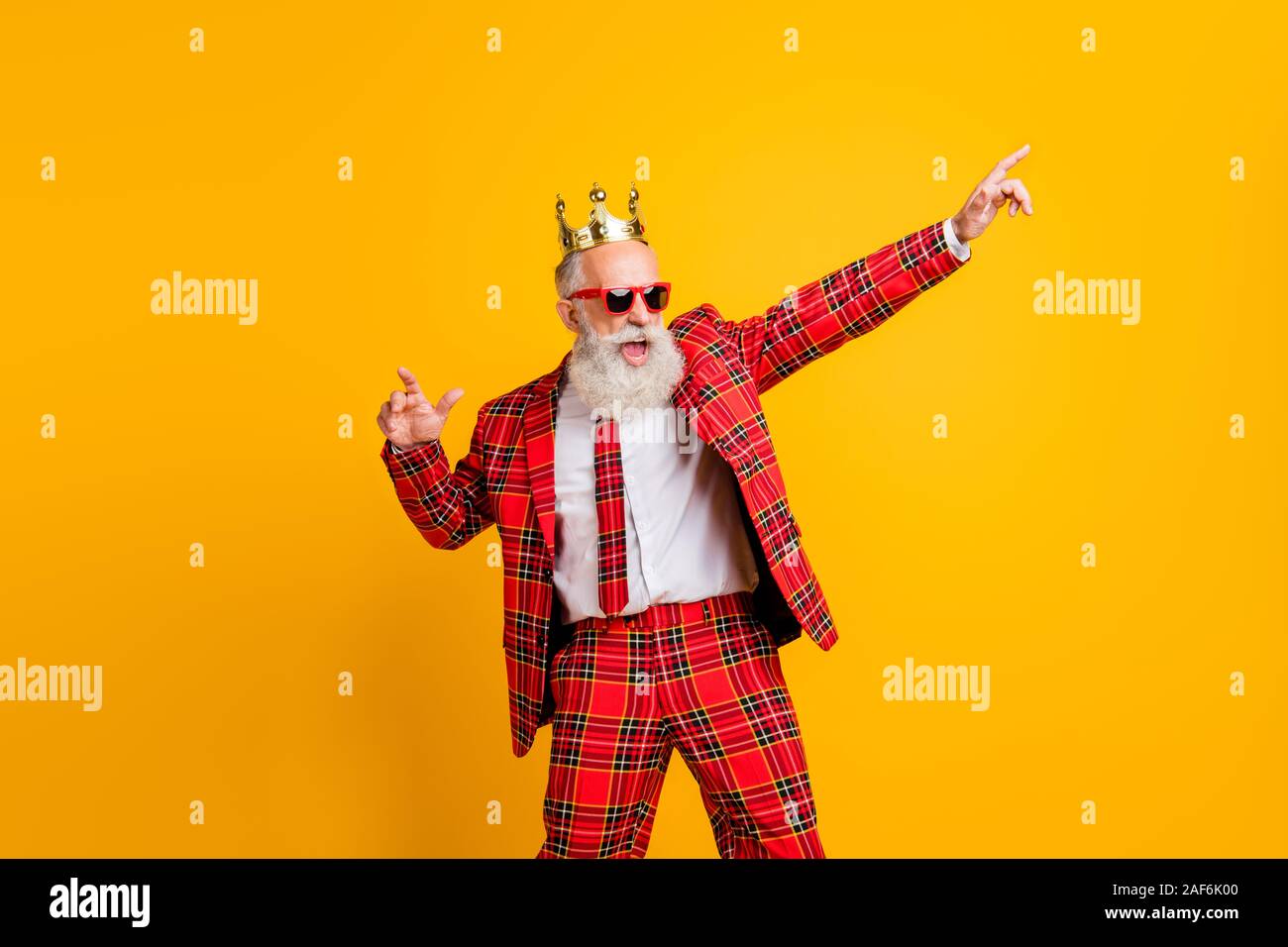 Portrait of his he nice handsome attractive rich wealthy funky gray ...