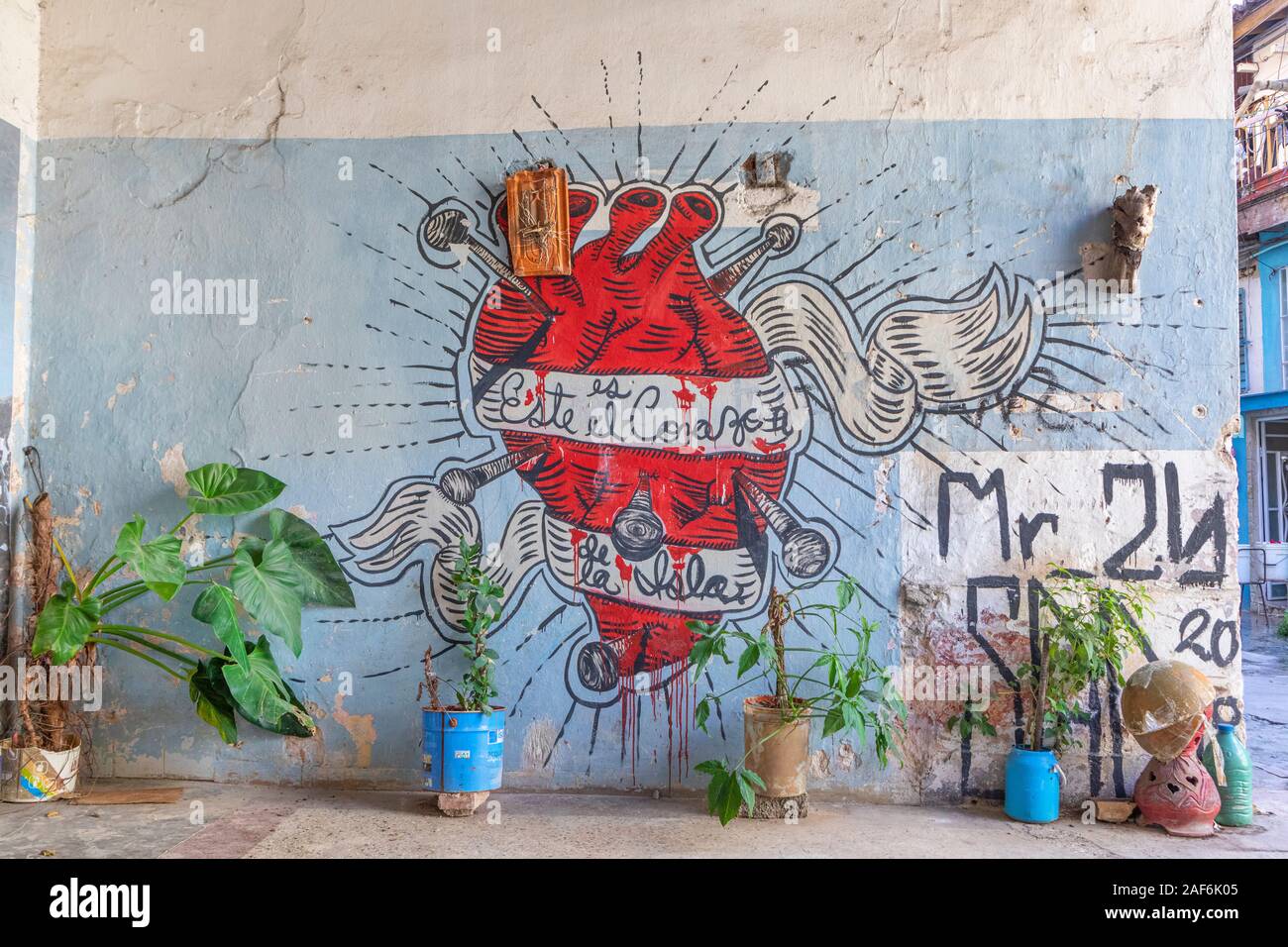 Wall Graffiti Street Art Plants High Resolution Stock Photography and ...
