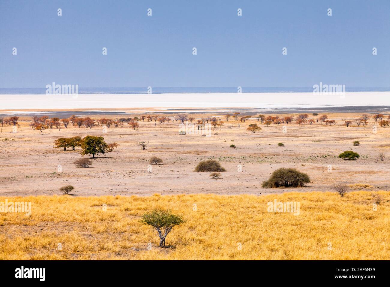 Kalahari desert and dried up salt pan, Sowa pan(Sua pan), and bushes ...