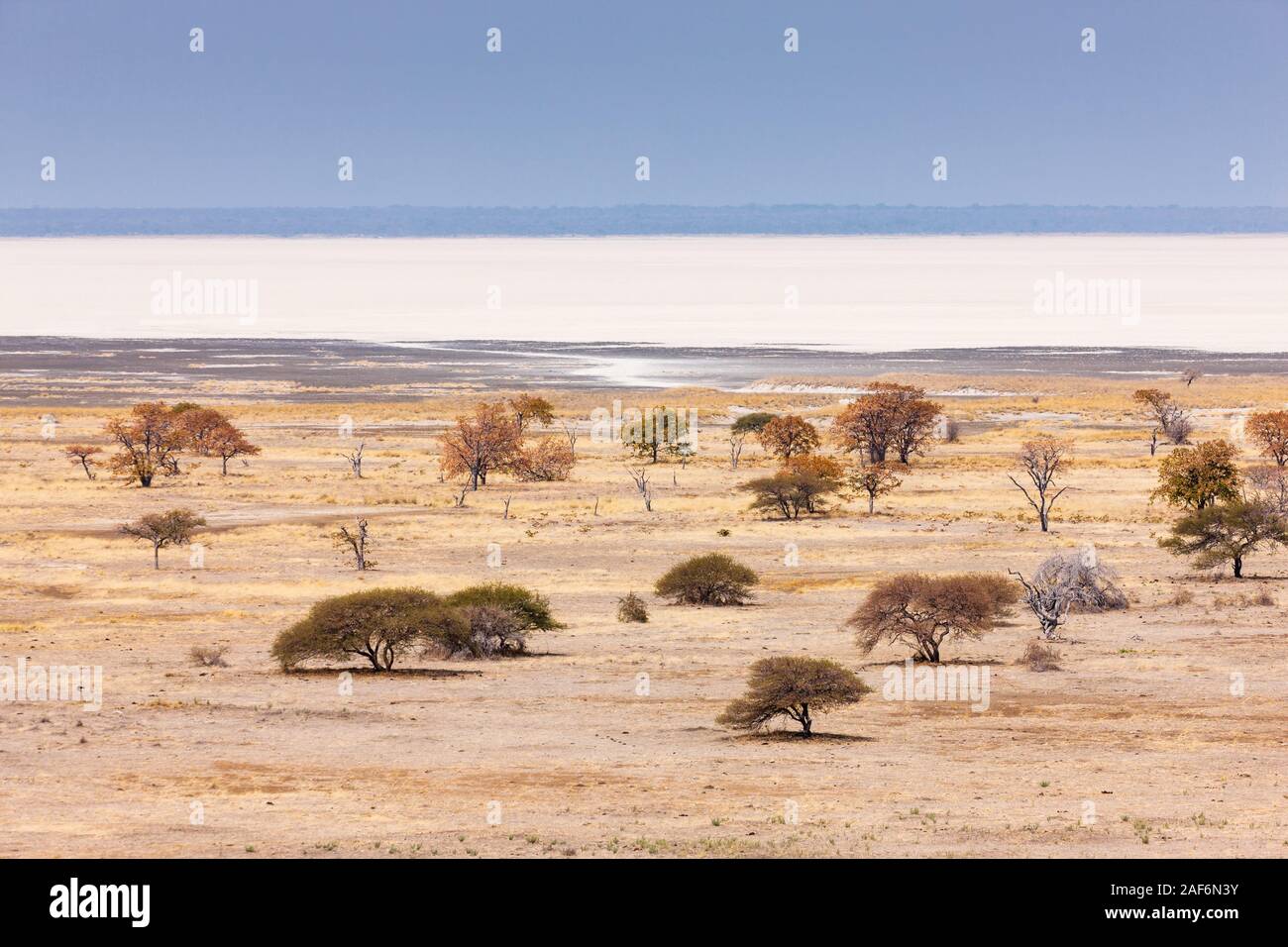 Kalahari and makgadikgadi hi-res stock photography and images - Alamy