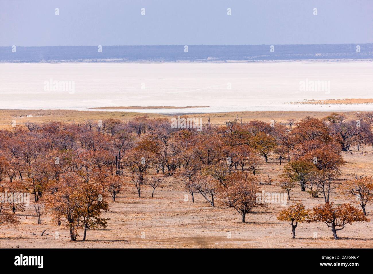 Sua Pan High Resolution Stock Photography and Images - Alamy