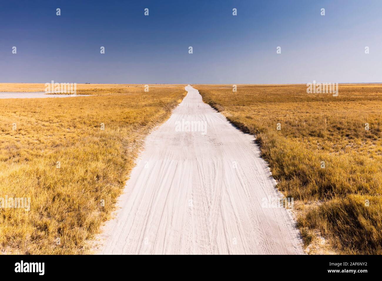 Straight white gravel road, Nata bird sanctuary, Sowa pan(Sua pan ...