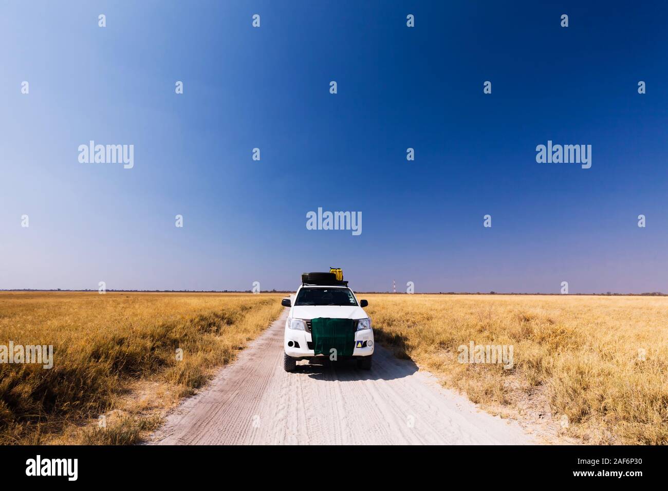 Straight white gravel road, Nata bird sanctuary, Sowa pan(Sua pan ...