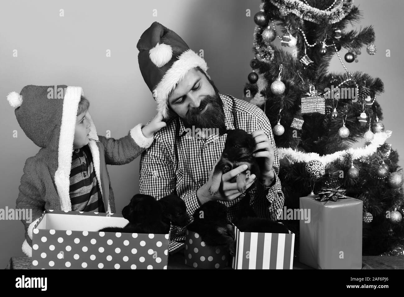 New year gift concept. Man and boy in Santa hat and hood play with ...