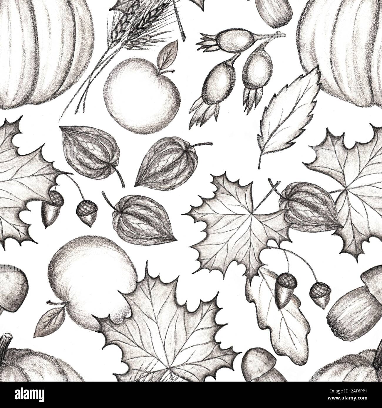 Rustic fall. Seamless Pattern. Pencil drawing Stock Photo - Alamy