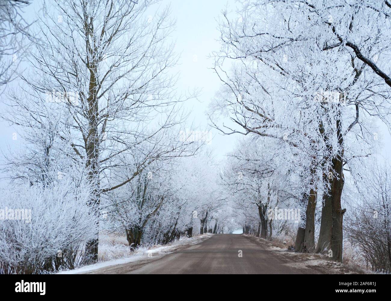 Kaliningrad rural hi-res stock photography and images - Alamy