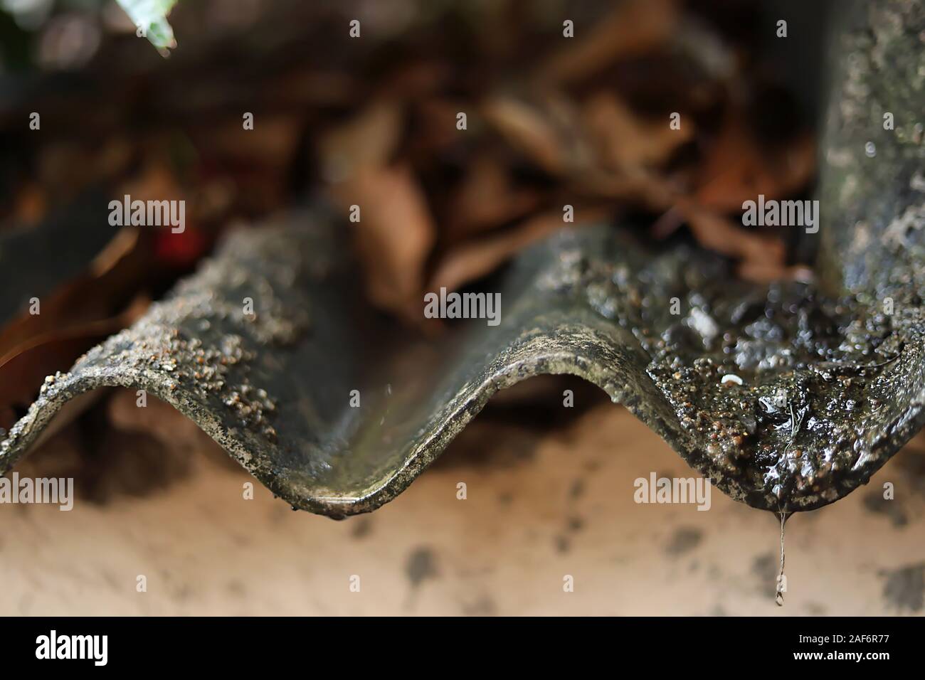Heavy rain drops down from hi-res stock photography and images - Alamy