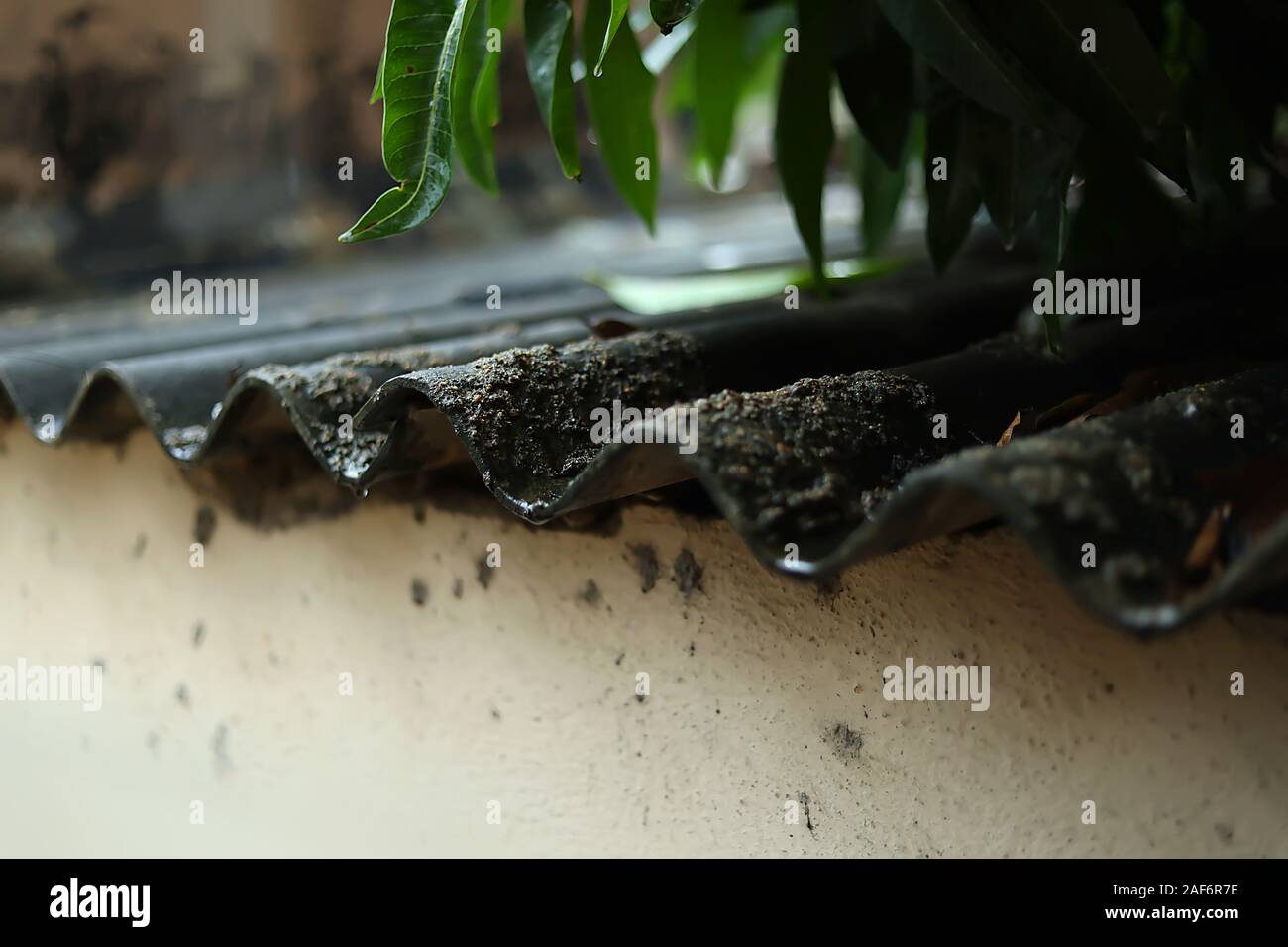 Heavy rain falling on house hi-res stock photography and images - Alamy