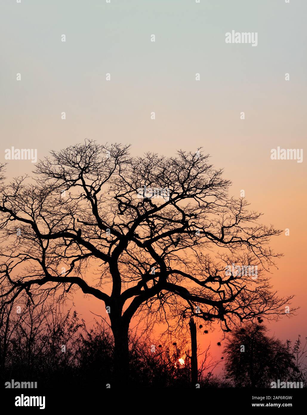 Back light sunset hi-res stock photography and images - Alamy