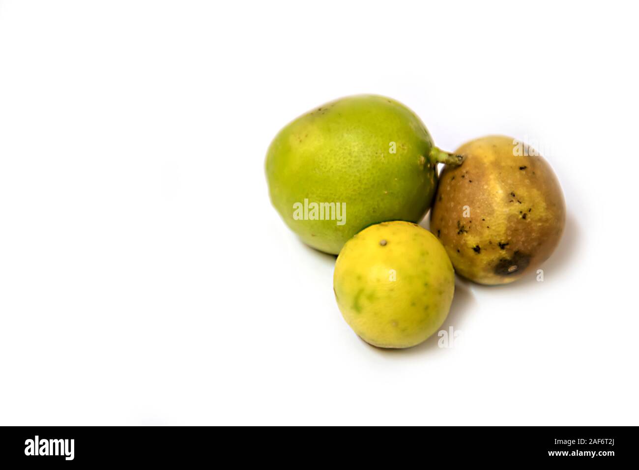 closeup of ugly lemon on white background Stock Photo - Alamy