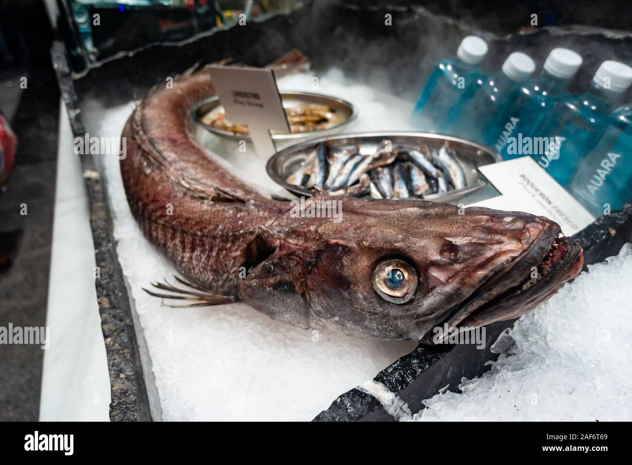Hake fish hi-res stock photography and images - Alamy