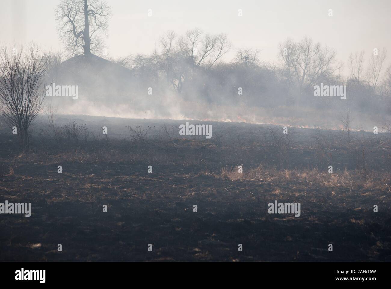 Burning field in the smoke, old dry grass on fire at spring, horizontal ...