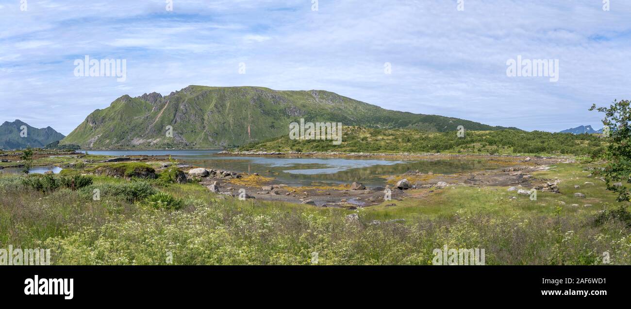 Arctic fjord landscape with green inlet shore, shot under bright summer ...