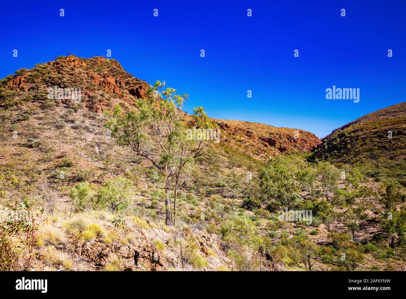 Redbank Gorge is a gap in the West MacDonnell Ranges in the Northern ...