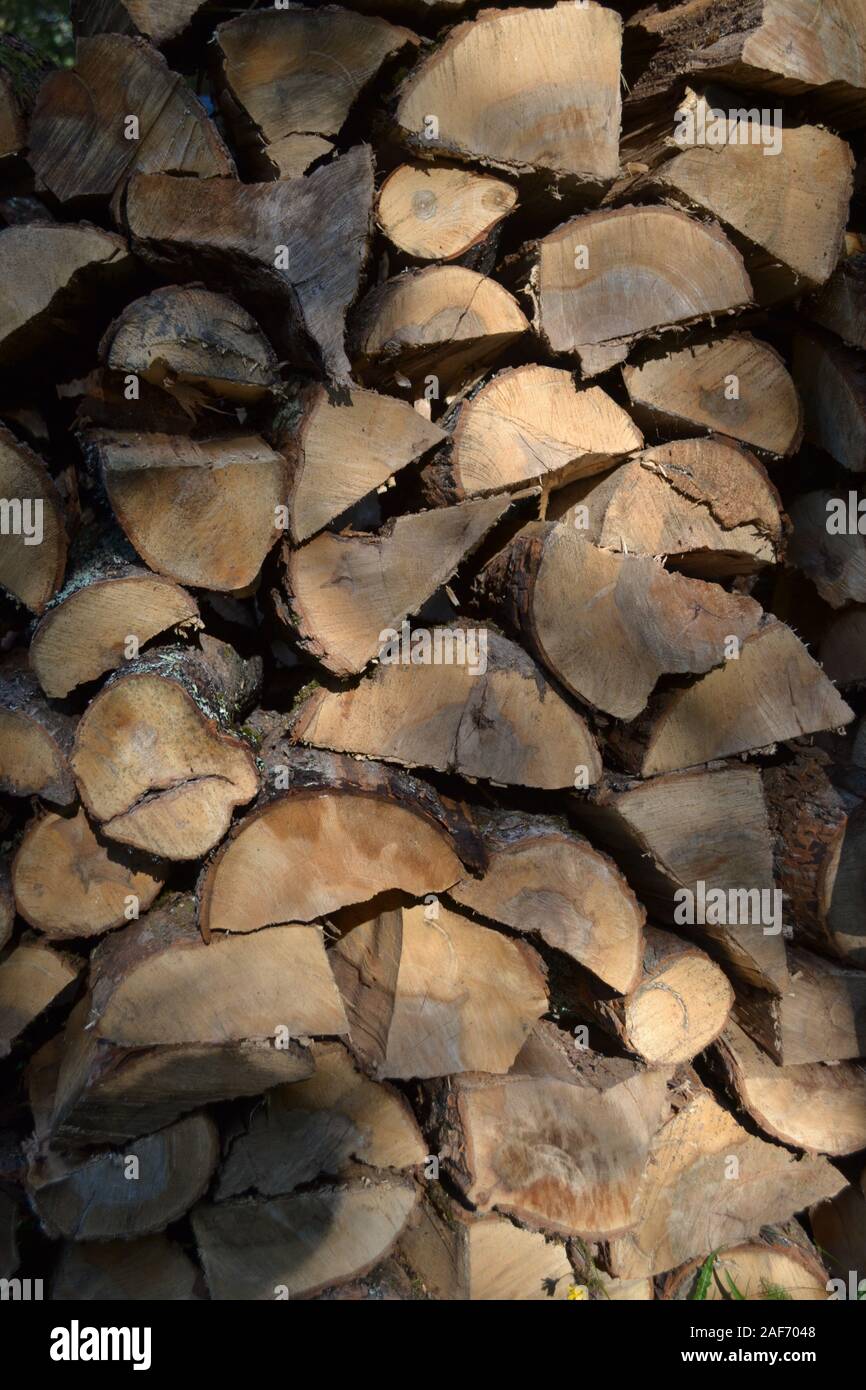 Stacked hardwood drying for firewood Stock Photo - Alamy