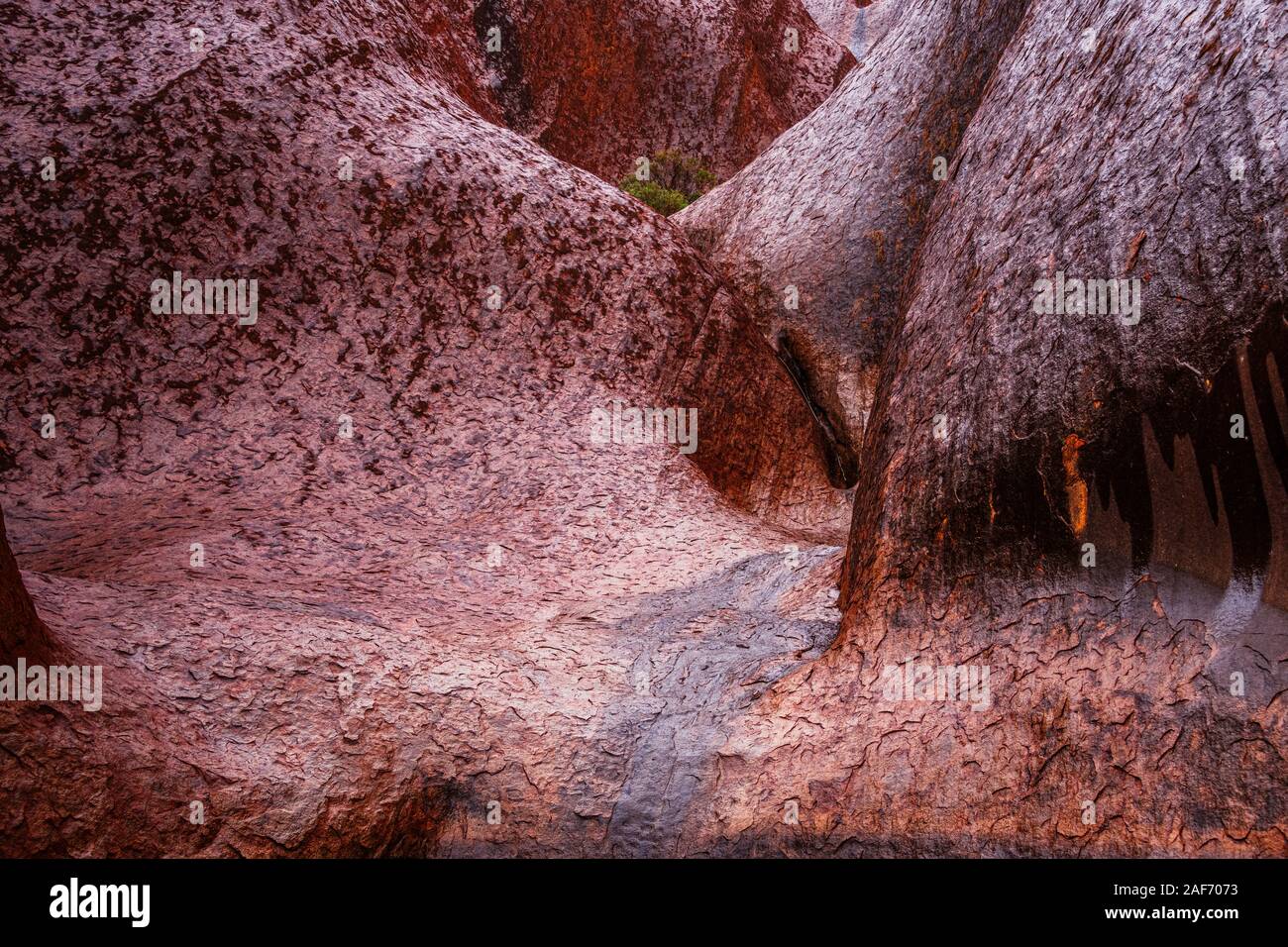 The a close up view of the folds of the rock of Uluru (Ayres Rock) in ...
