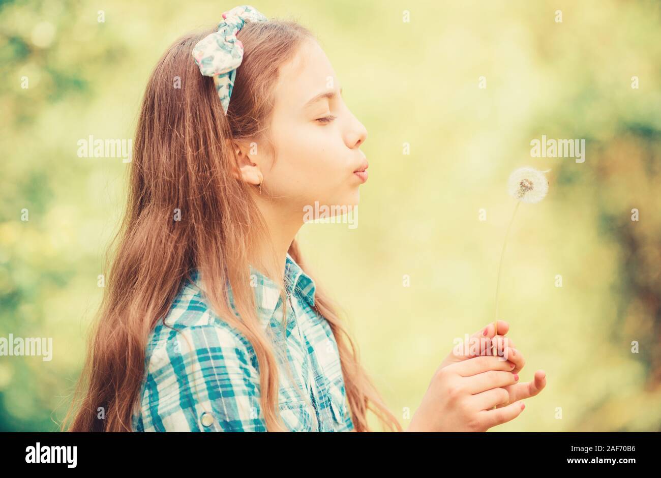 Dreams come true. Dandelion full symbolism. Summertime fun. Beliefs ...