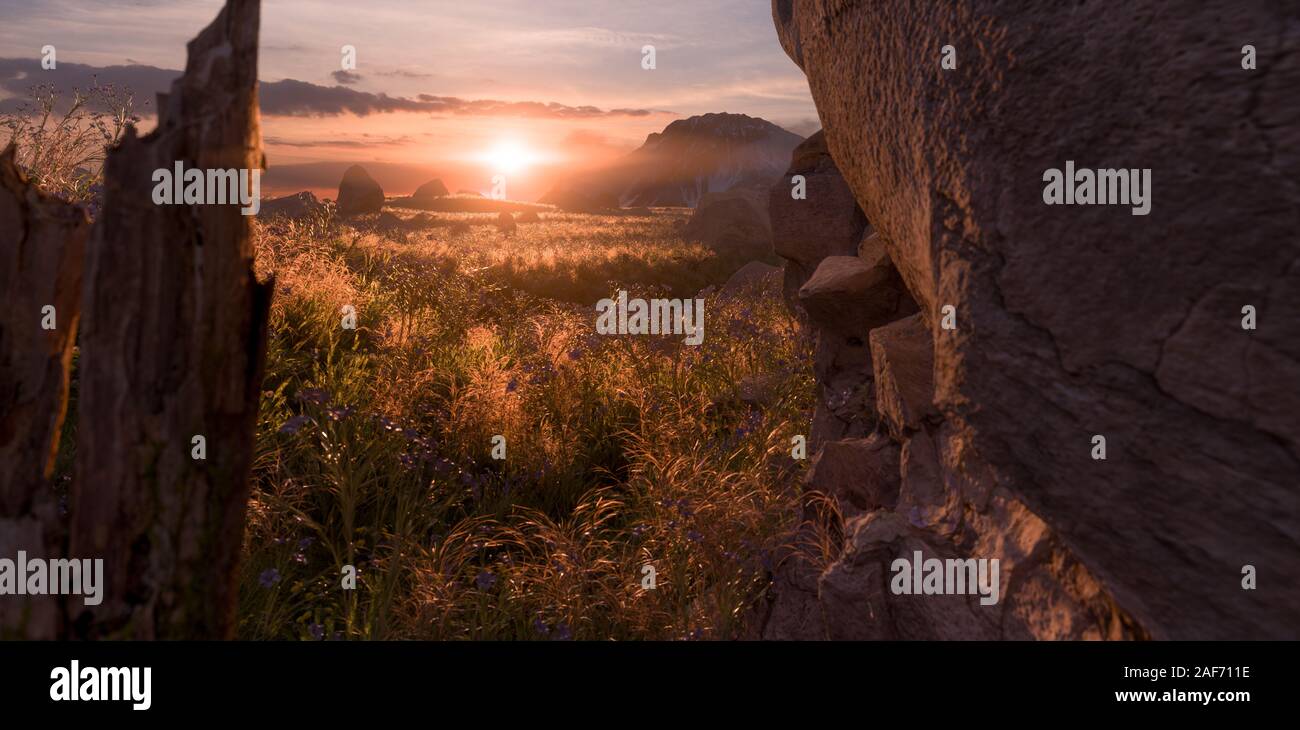 Warm sunset hi-res stock photography and images - Alamy