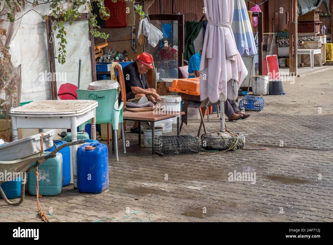 Local Fisherman gutting fish by the waters edge with gulls in ...