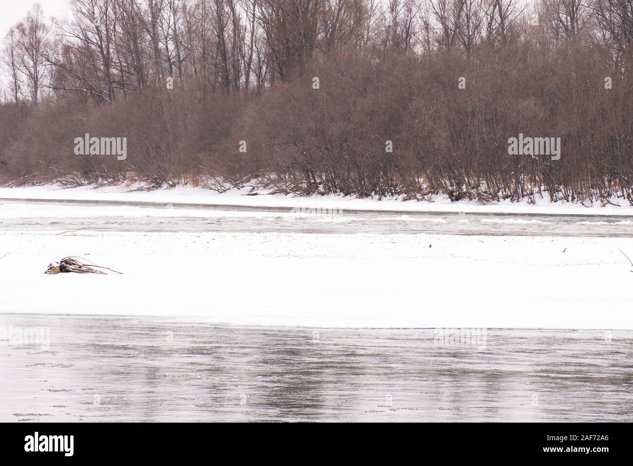 Mountain Russian river in winter. Snow on the shore. Rapid flow of ice ...