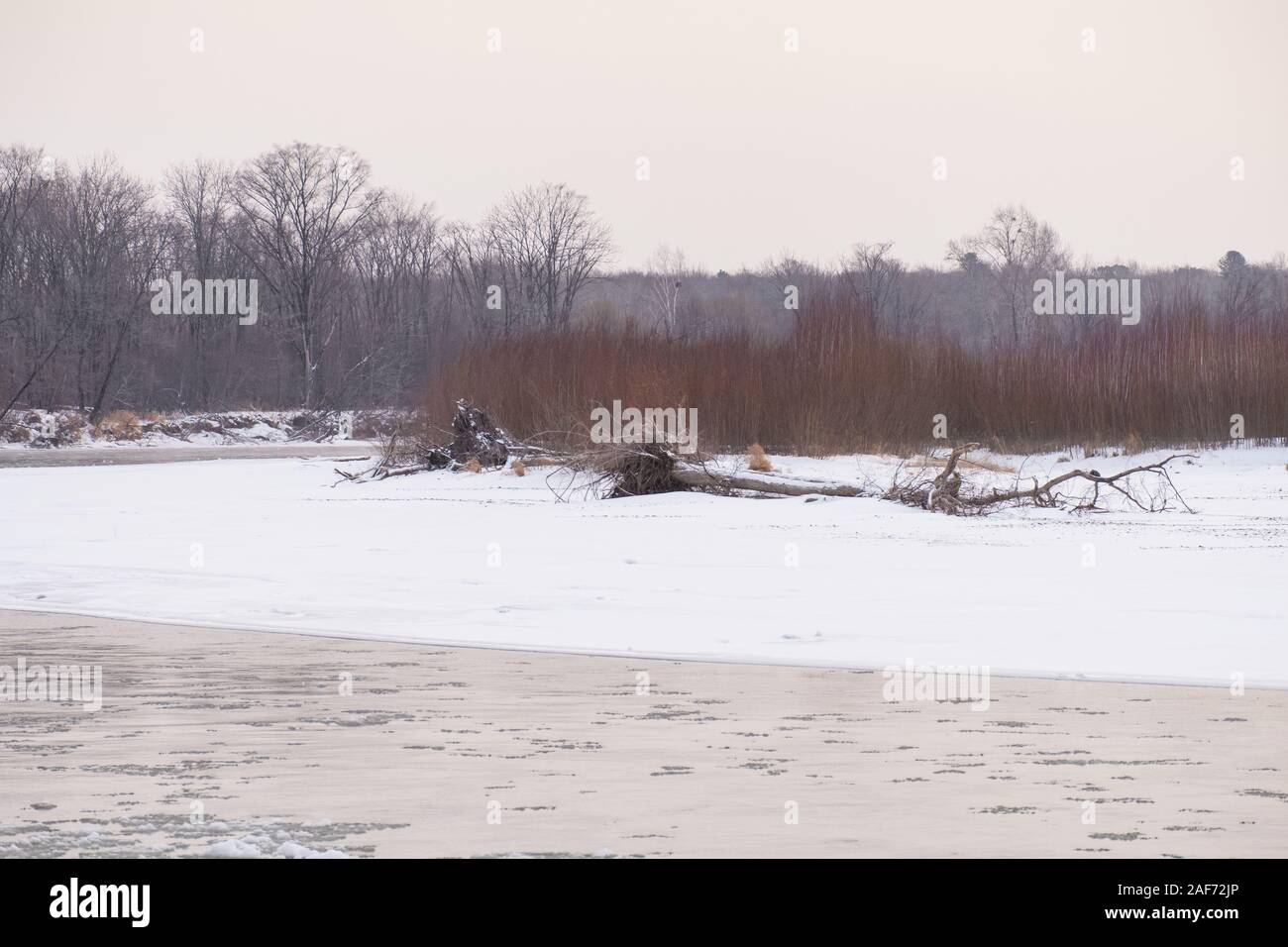 Mountain Russian river in winter. Snow on the shore. Rapid flow of ice ...