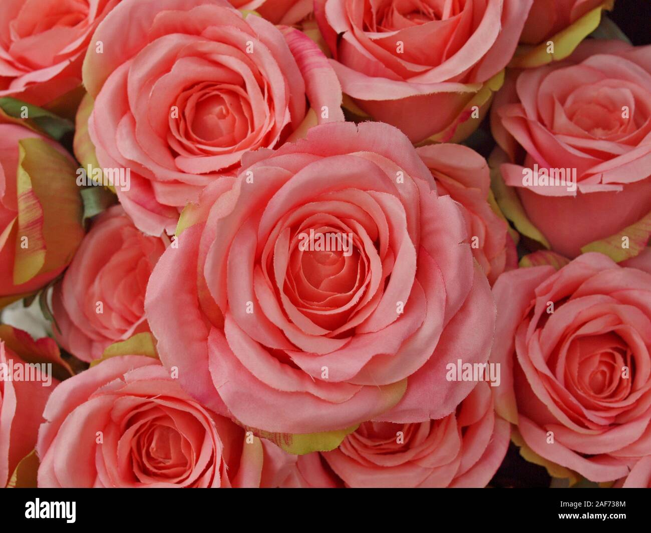Bundle of artificial pink roses Stock Photo - Alamy