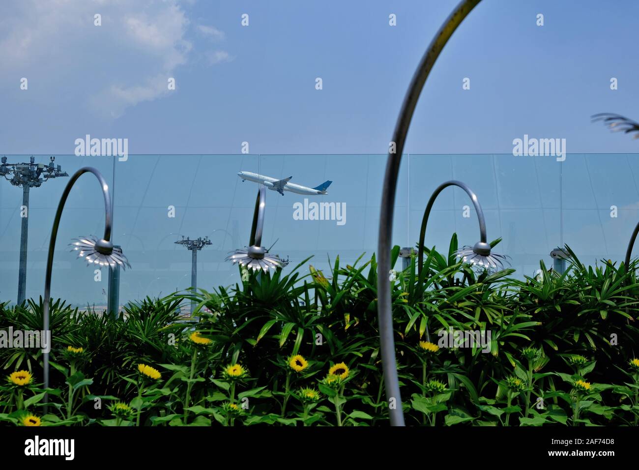Green airplane hi-res stock photography and images - Alamy