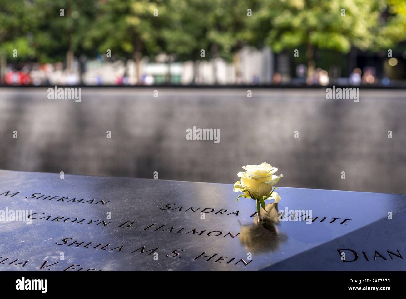 For each birthday of the terror victims of September 11, 2001, an ...