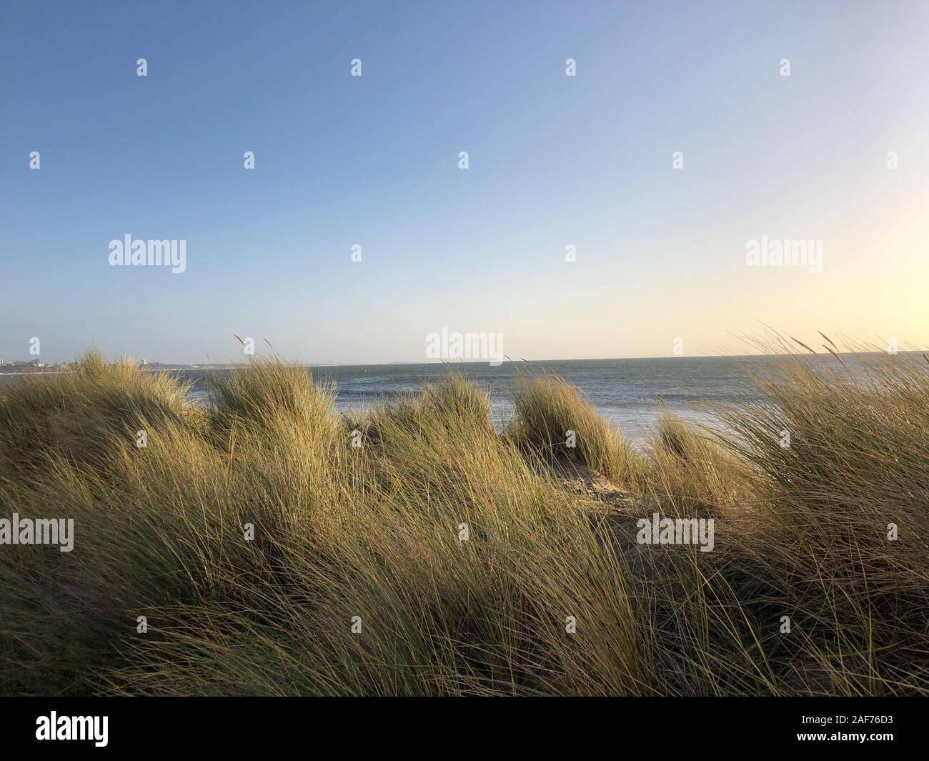 A beautiful day on Sandbanks Beach, with te wind blowing to gale force ...