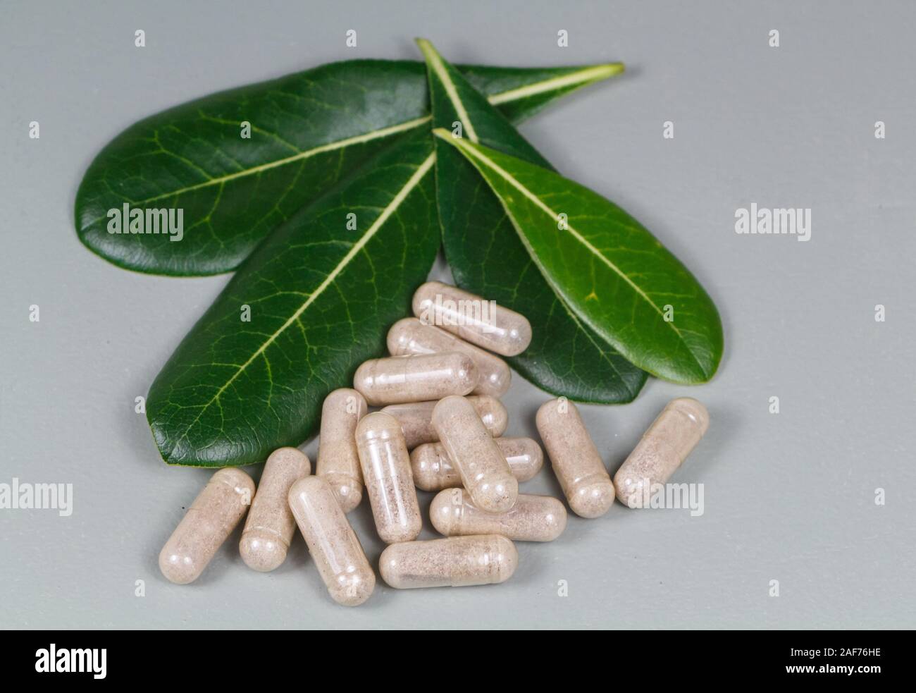 Natural medicine, capsules of plants extract Stock Photo - Alamy