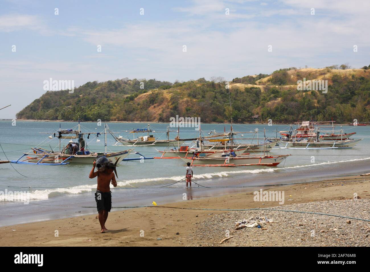 Artisanal Filipino handline fishermen landing yellowfin tuna Thunnus ...