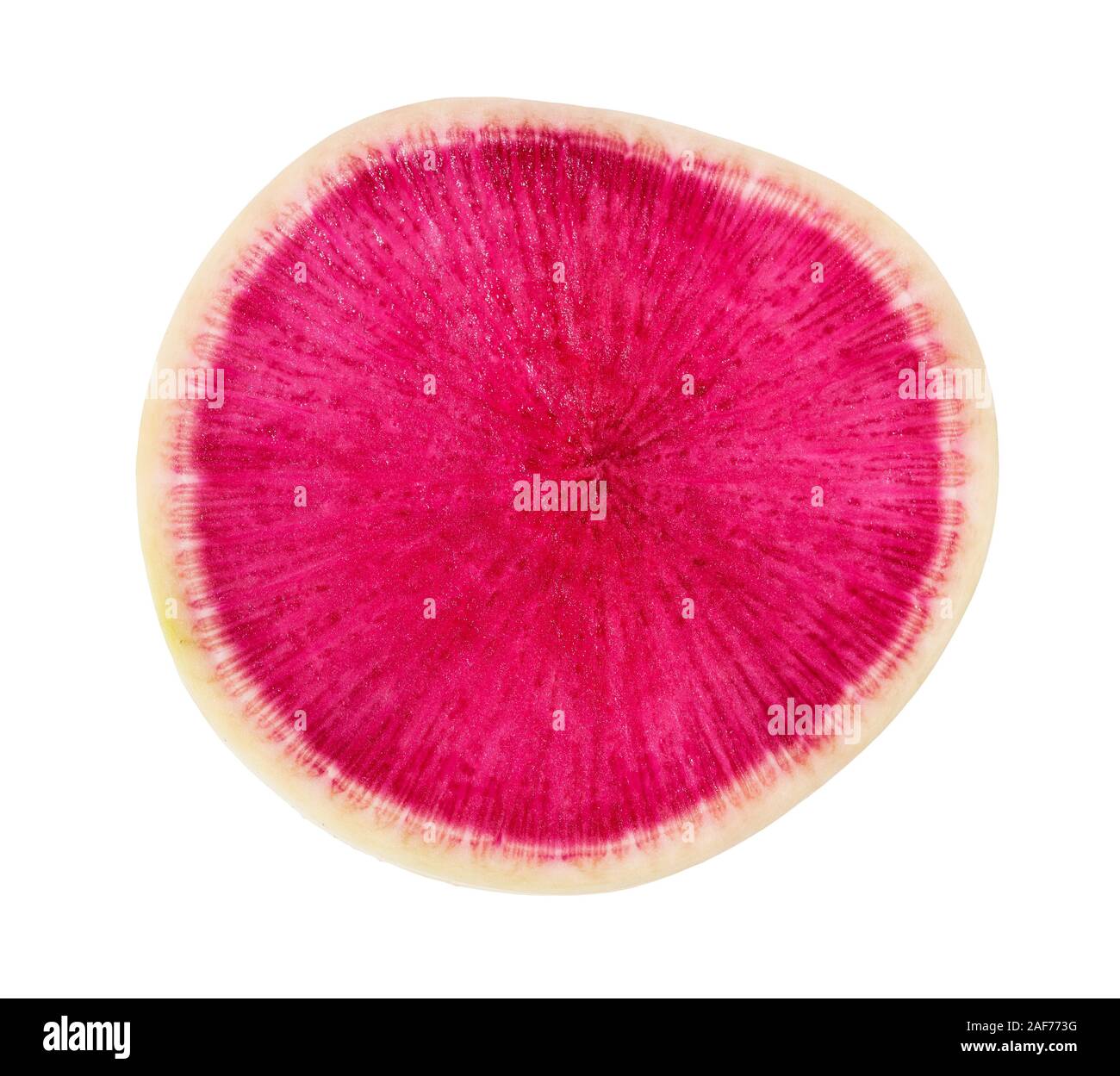 red slice of fresh watermelon radish isolated on white background Stock ...