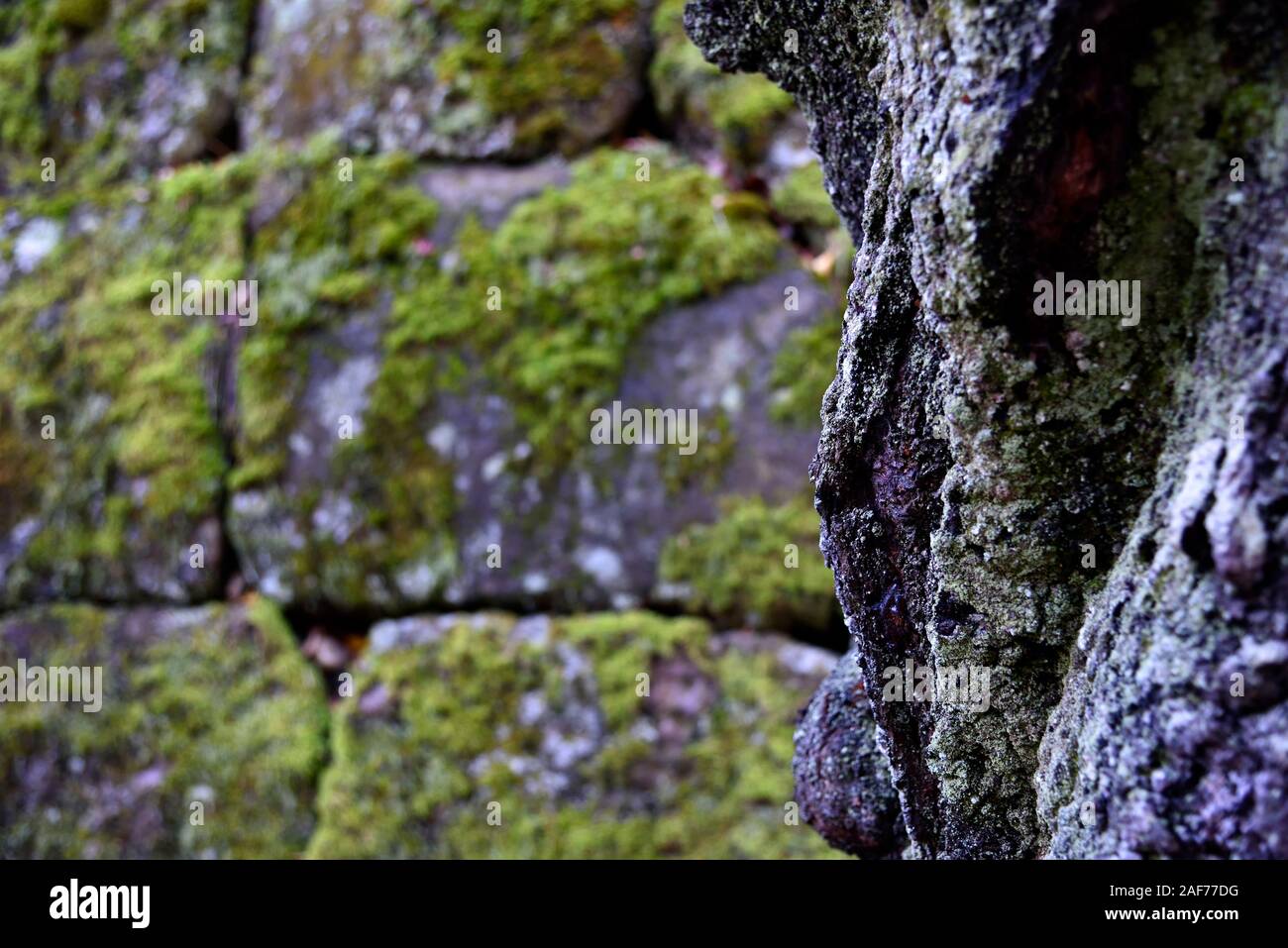 Stone wall Japan Stock Photo - Alamy