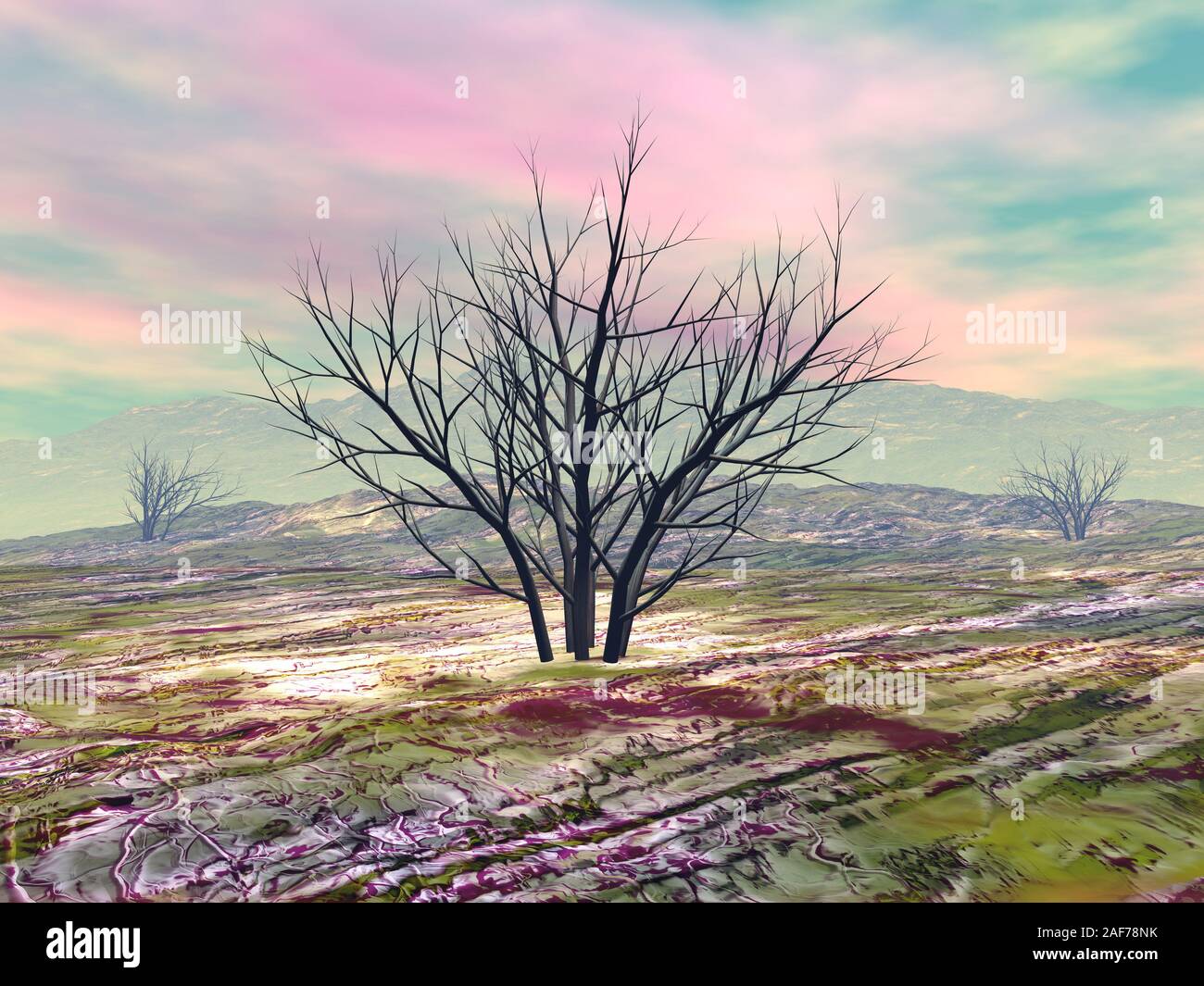 Dead bushes in the desert - 3D render Stock Photo - Alamy