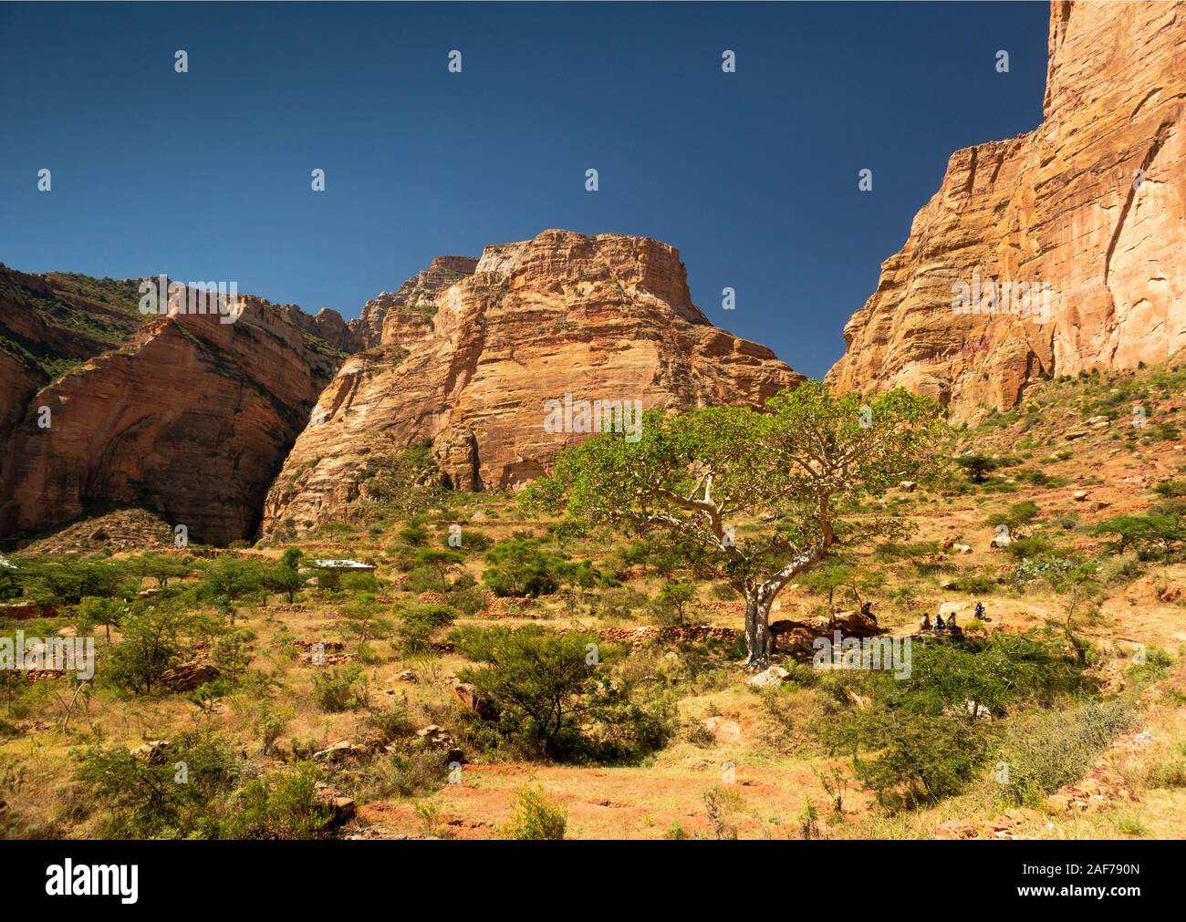 Ethiopia, Tigray, Megab, Gheralta Escarpment, route to rock cleft ...