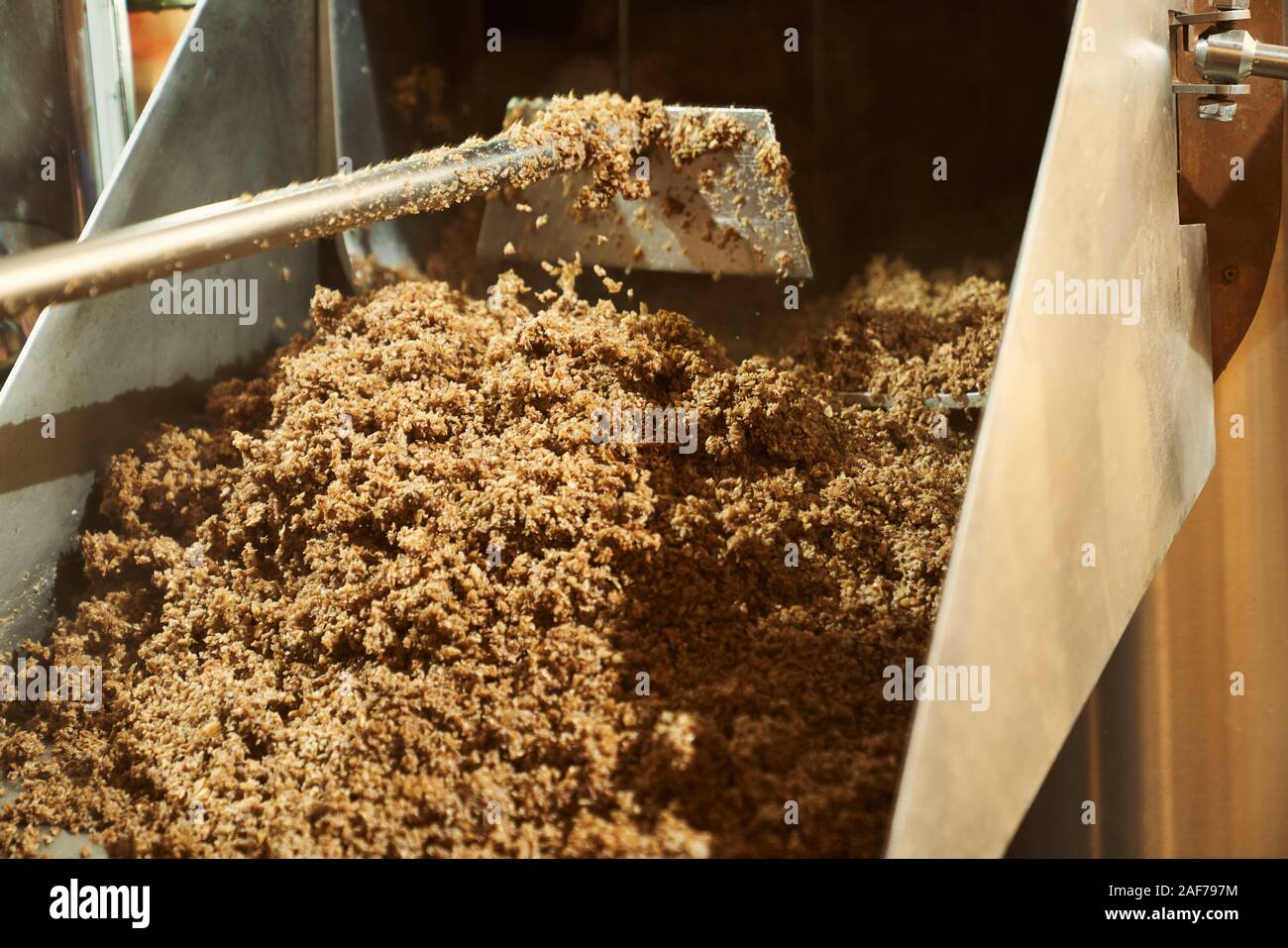 Close up of milled malt grains. Brewery process with fragmentation of ...