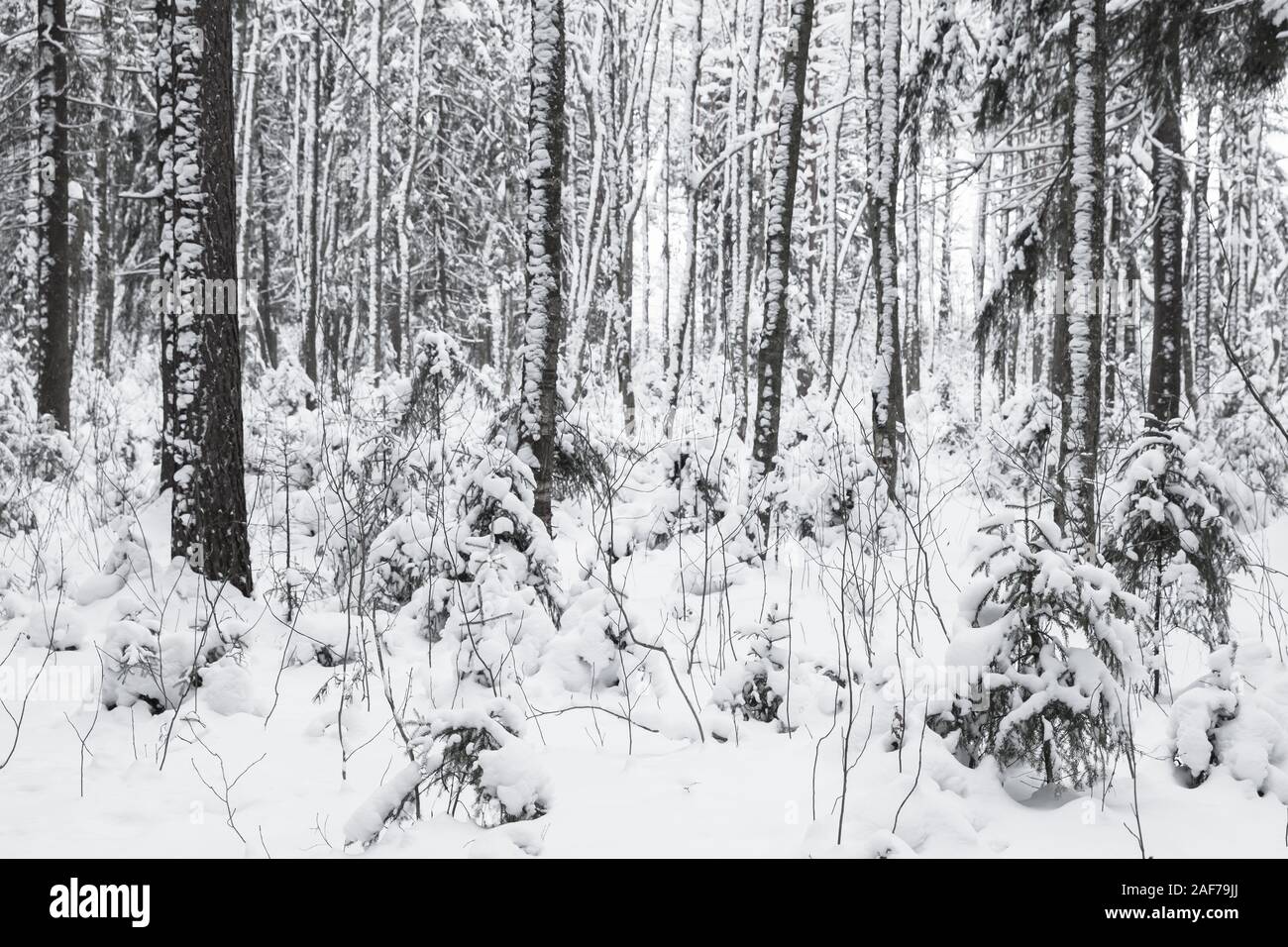 Snowdrift landscape hi-res stock photography and images - Alamy