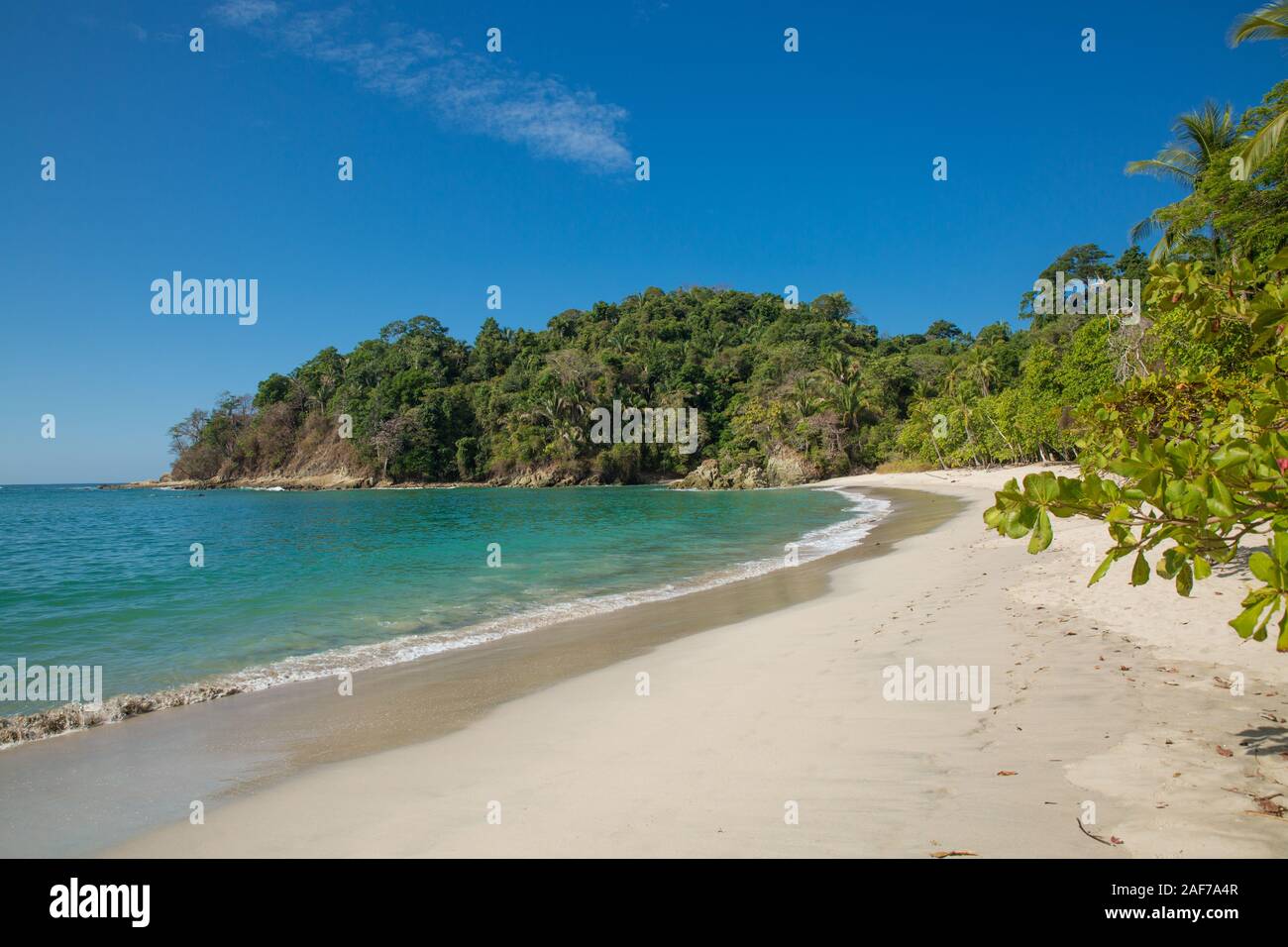 Beach in Costa Rica Stock Photo - Alamy